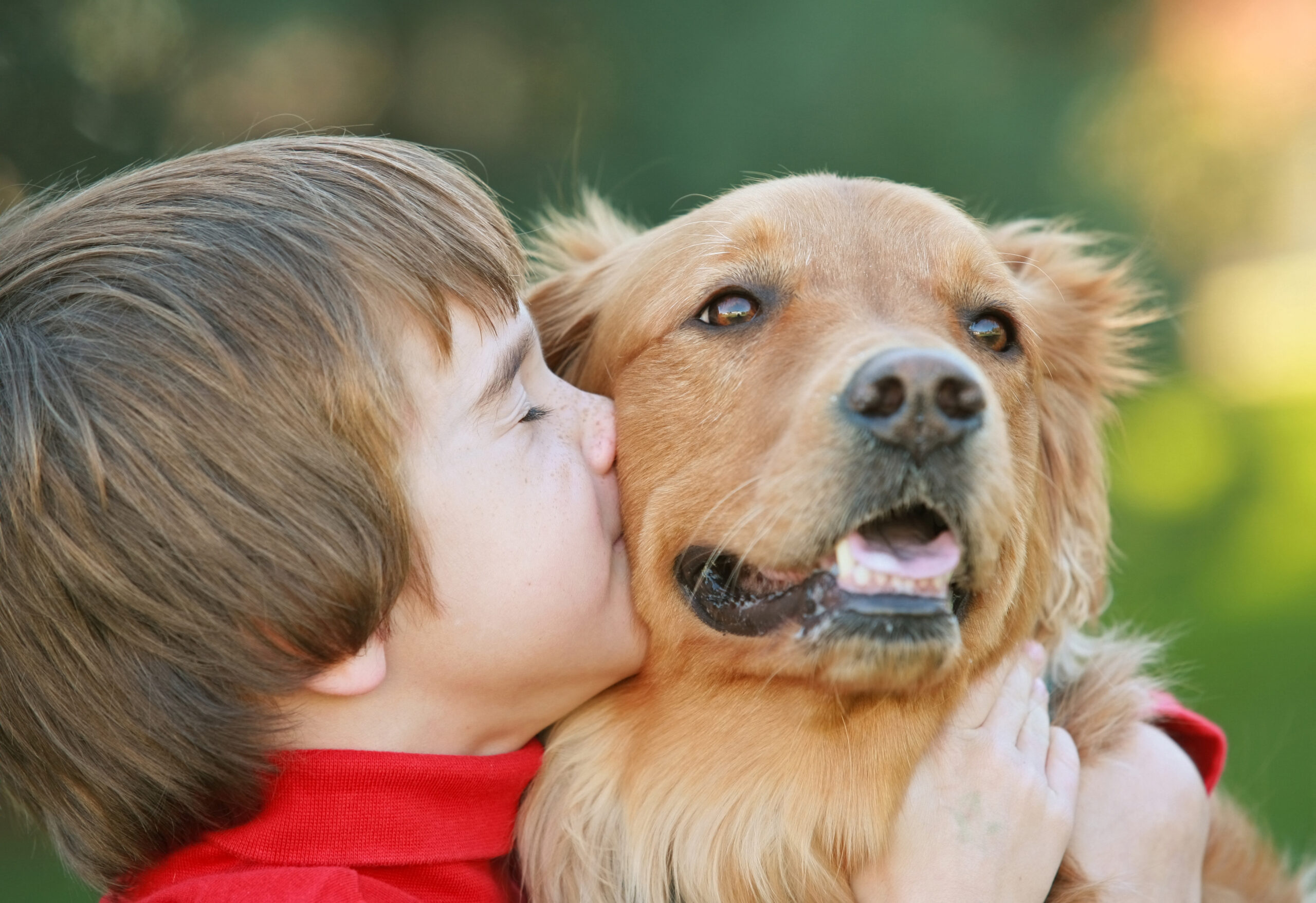 12 Best Dog Breeds for Children - Gray Rock Pets
